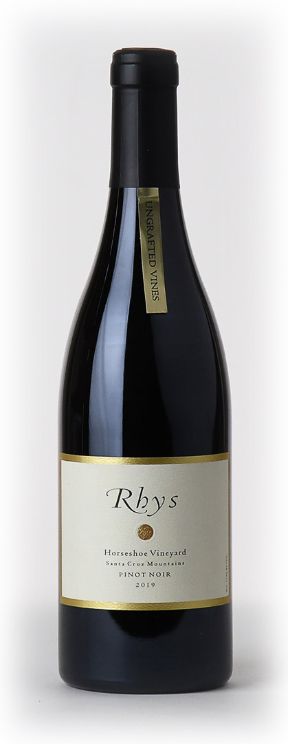 2019 Rhys "Horseshoe Vineyard - Ungrafted Vines" Santa Cruz Mountains ...